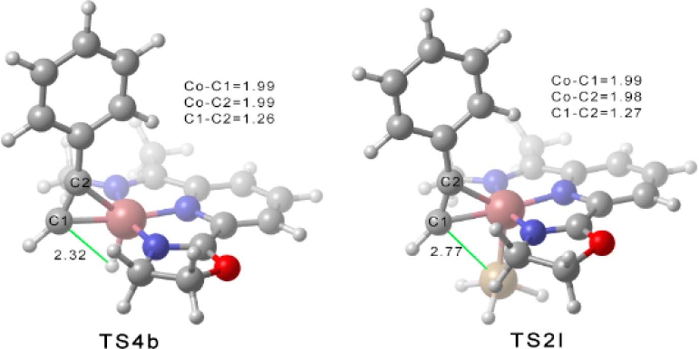 Mechanistic Research | Yumiao Ma @ BSJ Institute